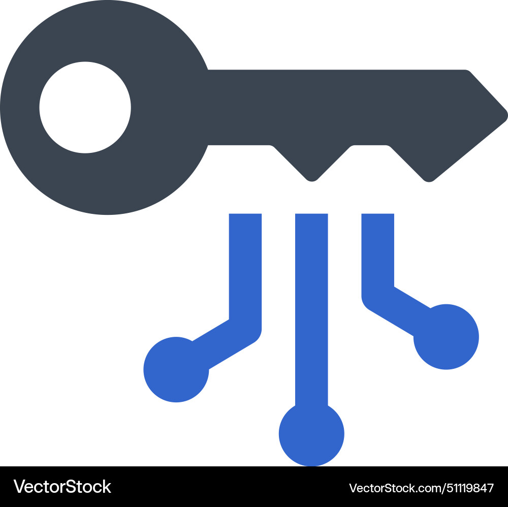 Digital key icon Royalty Free Vector Image - VectorStock