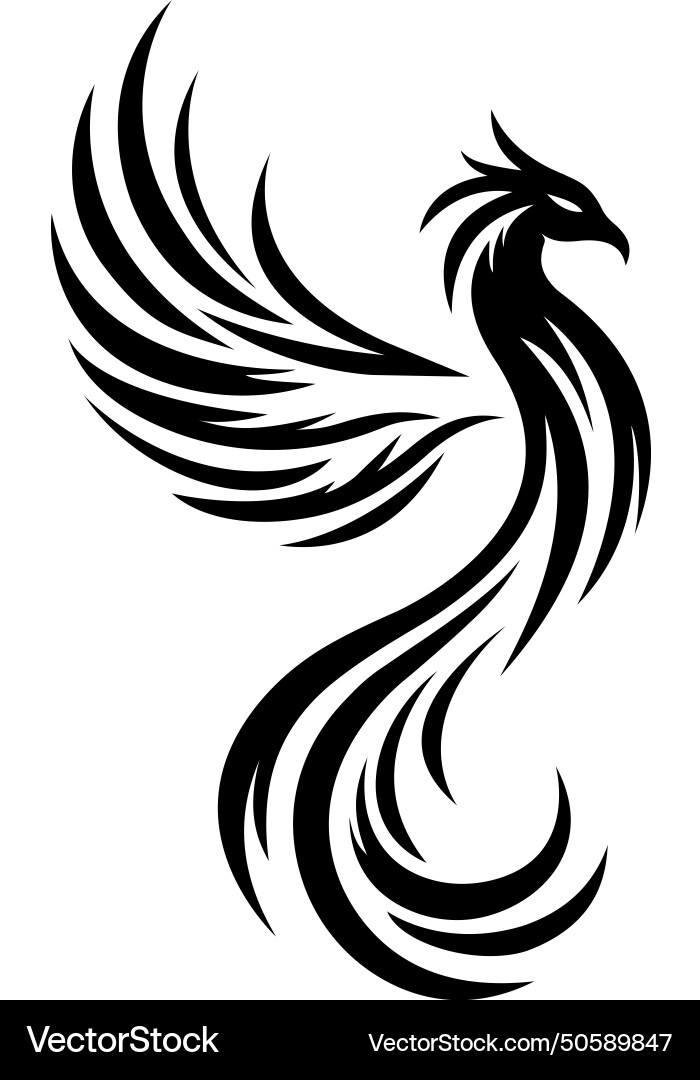 Phoenix Royalty Free Vector Image - VectorStock