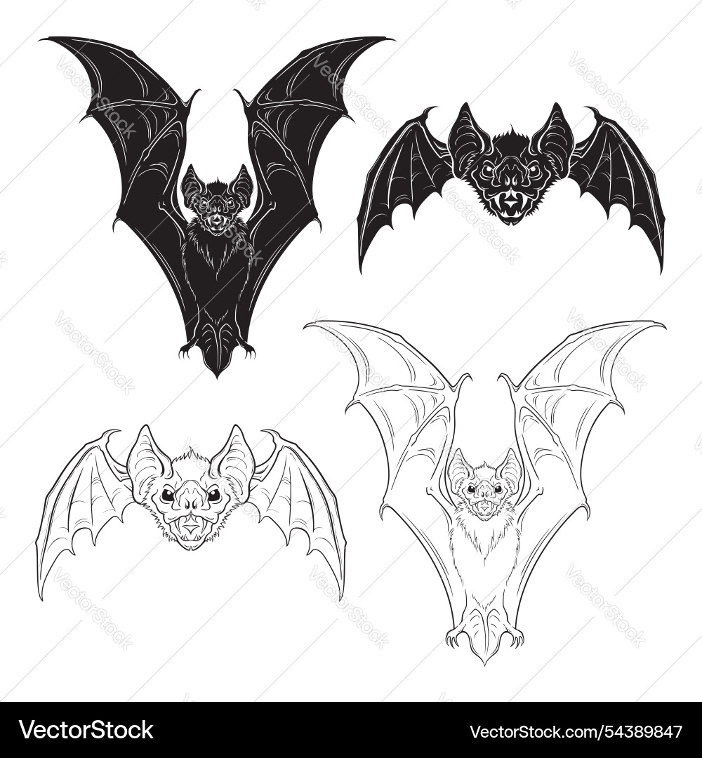 Vampire bats gothic clipart set witch familiar Vector Image