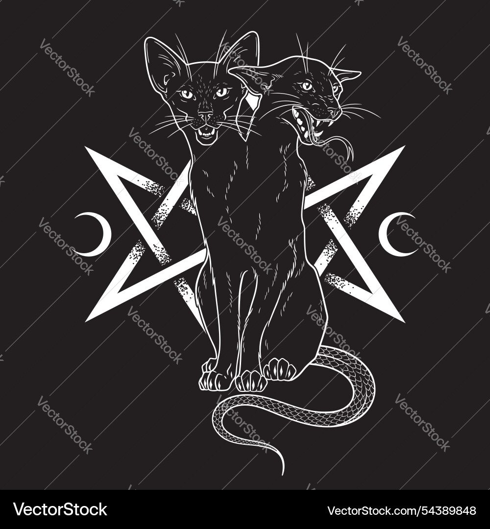 Black siamese cat monster with two heads isolated Vector Image