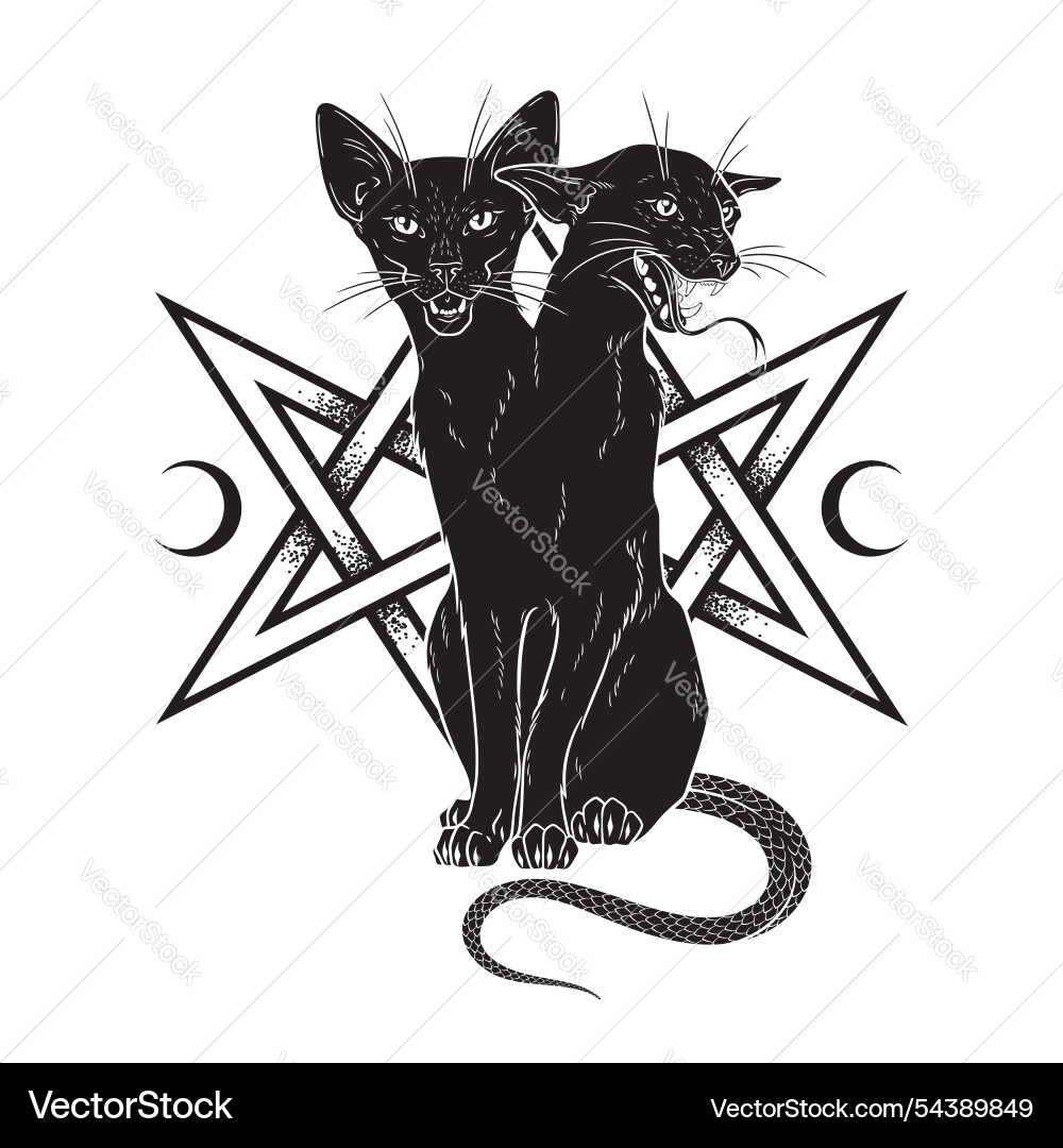 Black siamese cat monster with two heads isolated Vector Image