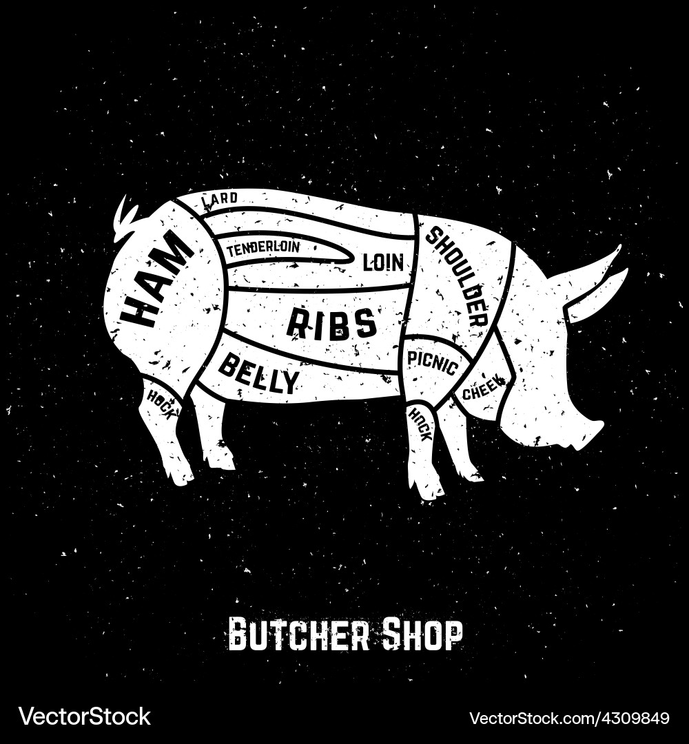Cuts of pork Royalty Free Vector Image - VectorStock