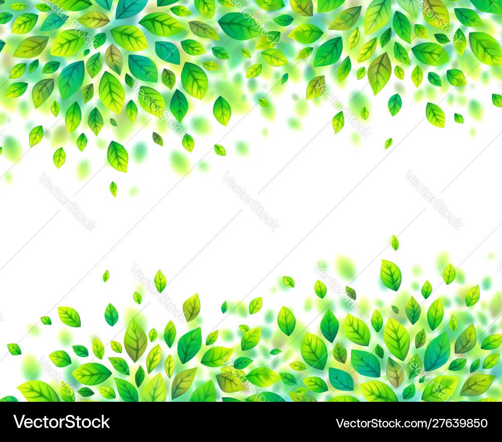 Green spring foliage frame on white Royalty Free Vector