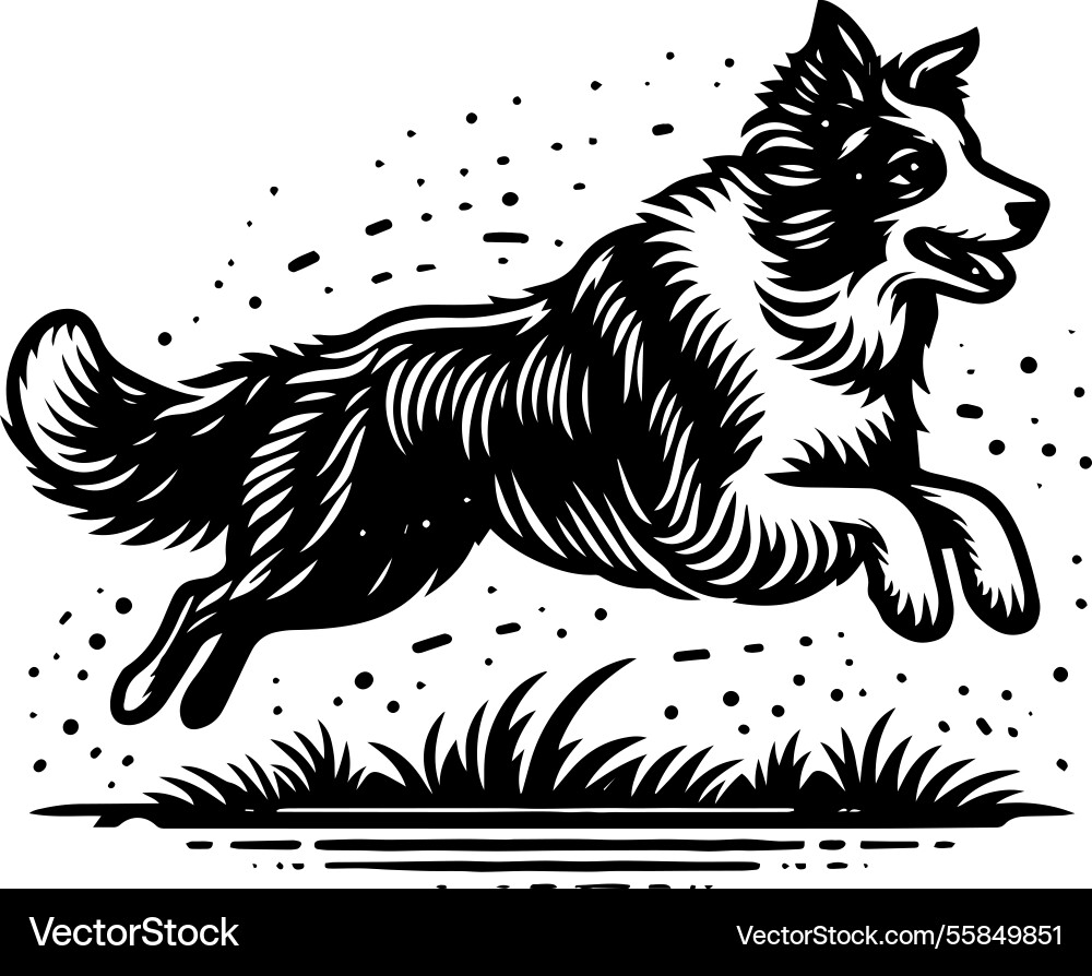 Simple australian shepherd jumping icon vintage Vector Image