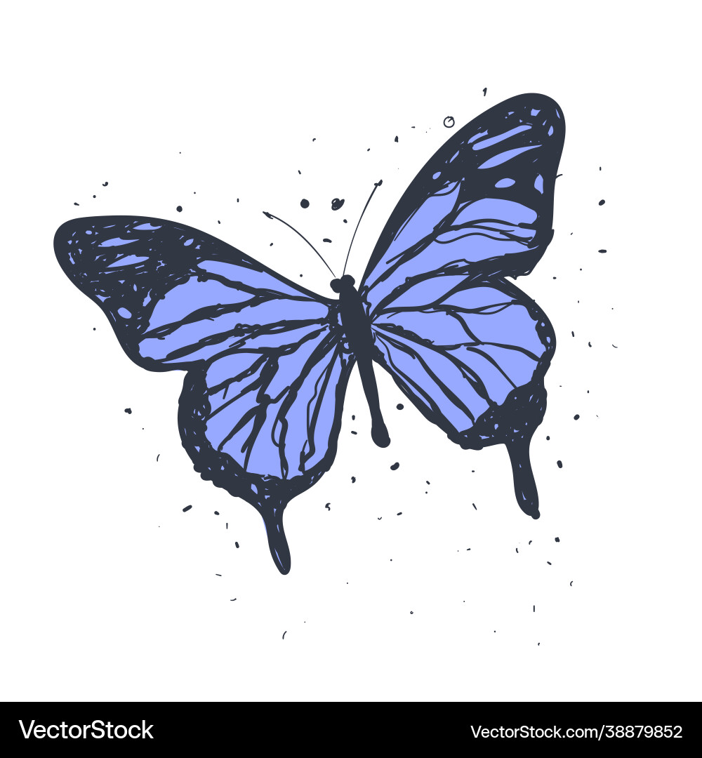 Vintage hand drawing butterfly ink Royalty Free Vector Image