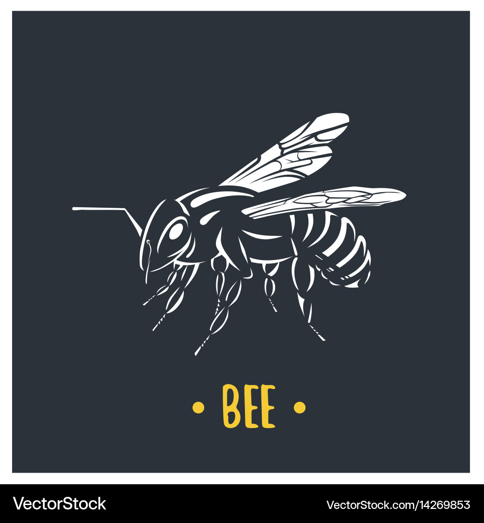 Bee Royalty Free Vector Image - VectorStock