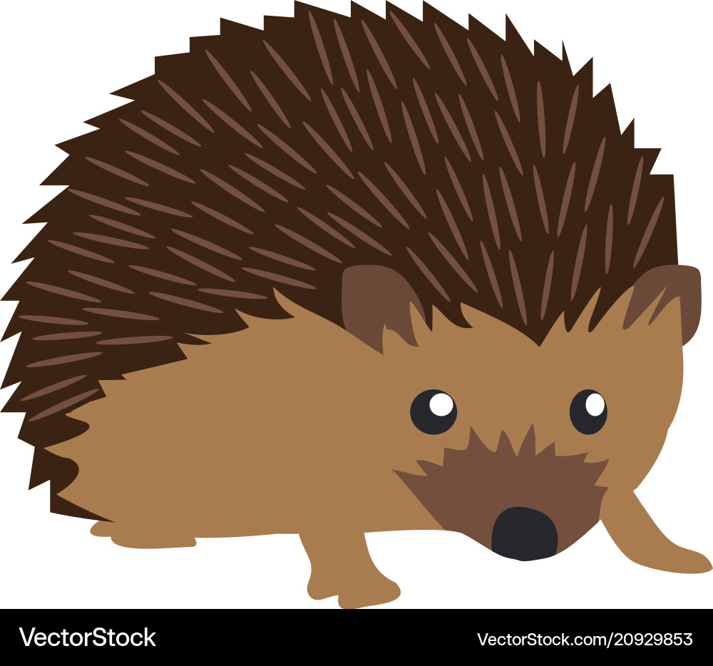 Cute hedgehog Royalty Free Vector Image - VectorStock