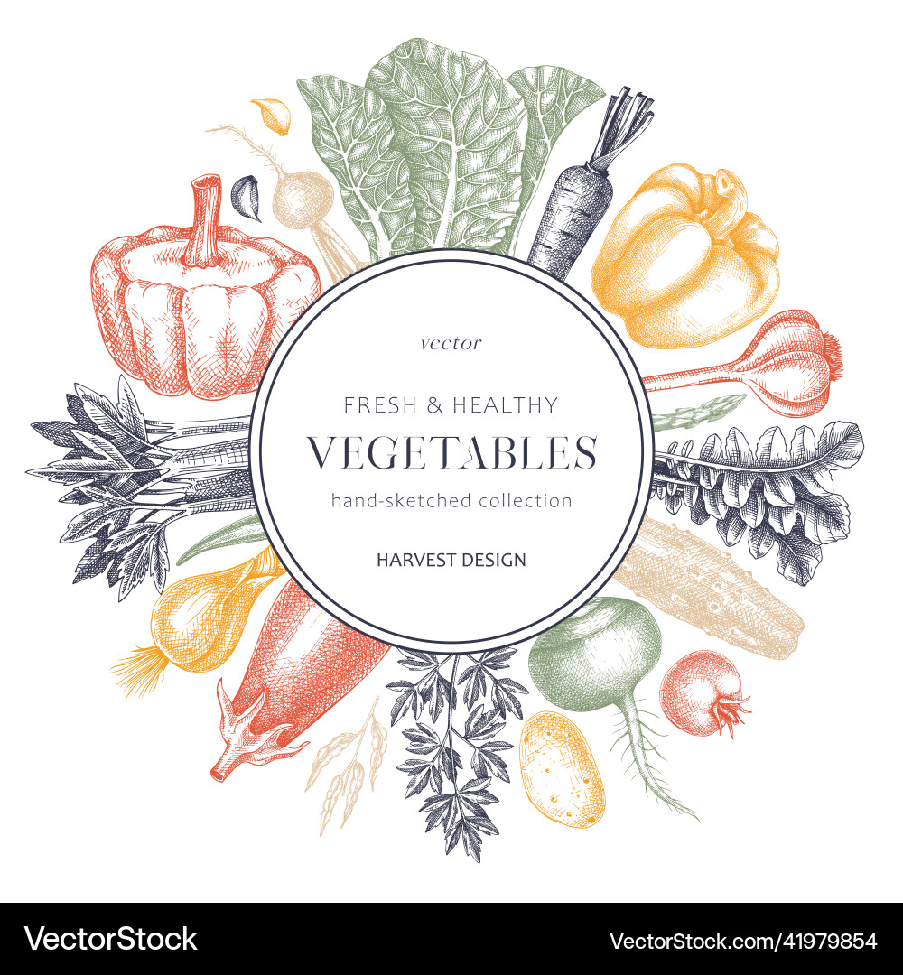 Hand-sketched vegetable frame in color hand-drawn Vector Image