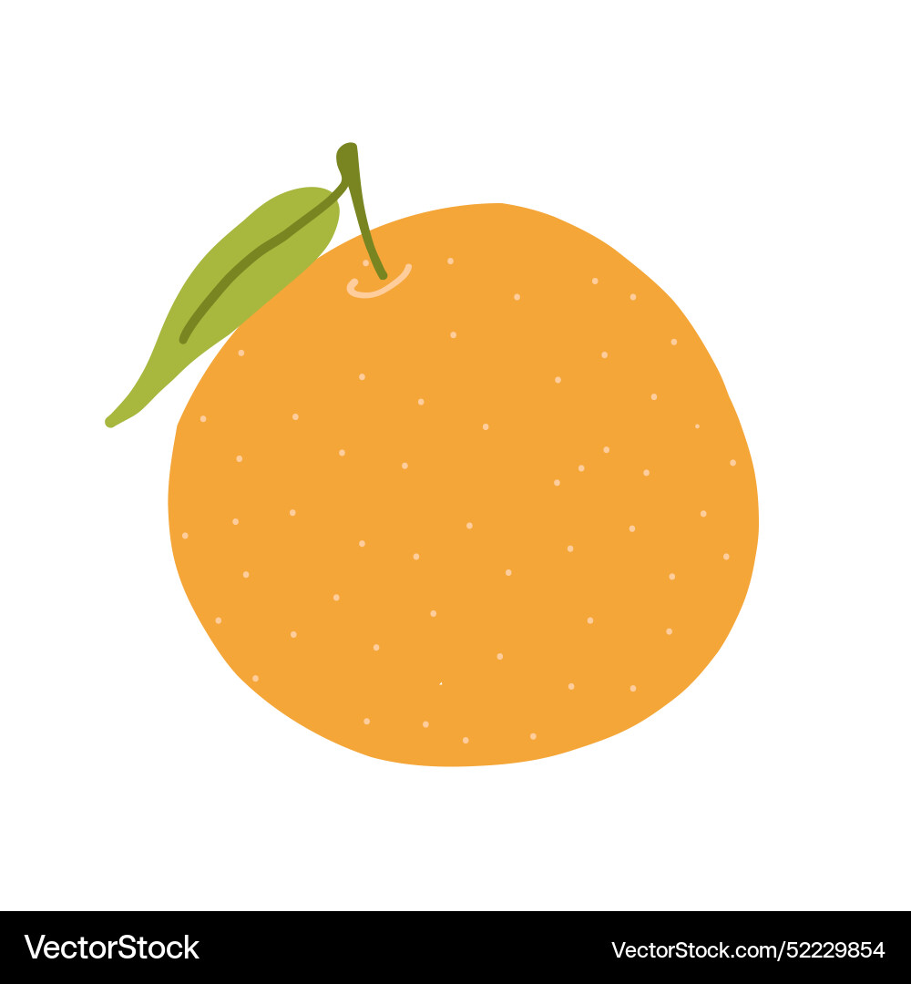 Minimalistic of an orange fruit Royalty Free Vector Image