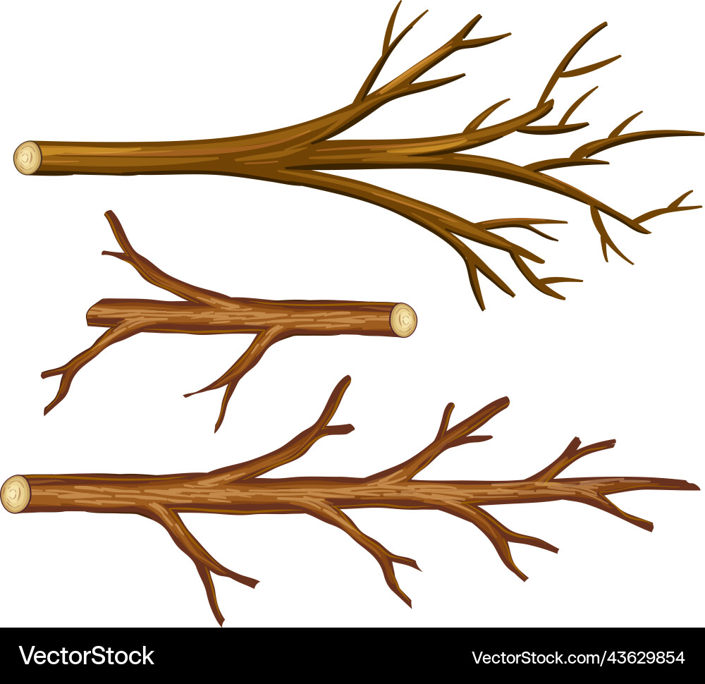 Set of different tree branches isolated Royalty Free Vector