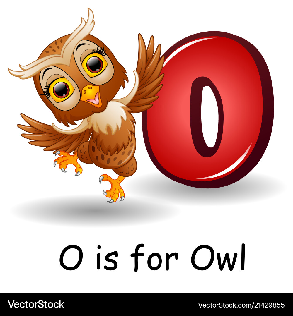 Animals alphabet o is for owl Royalty Free Vector Image