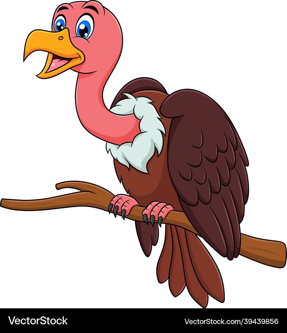 Vultures Birds Clipart Bird Clipart Cartoon Style Brown Vulture With