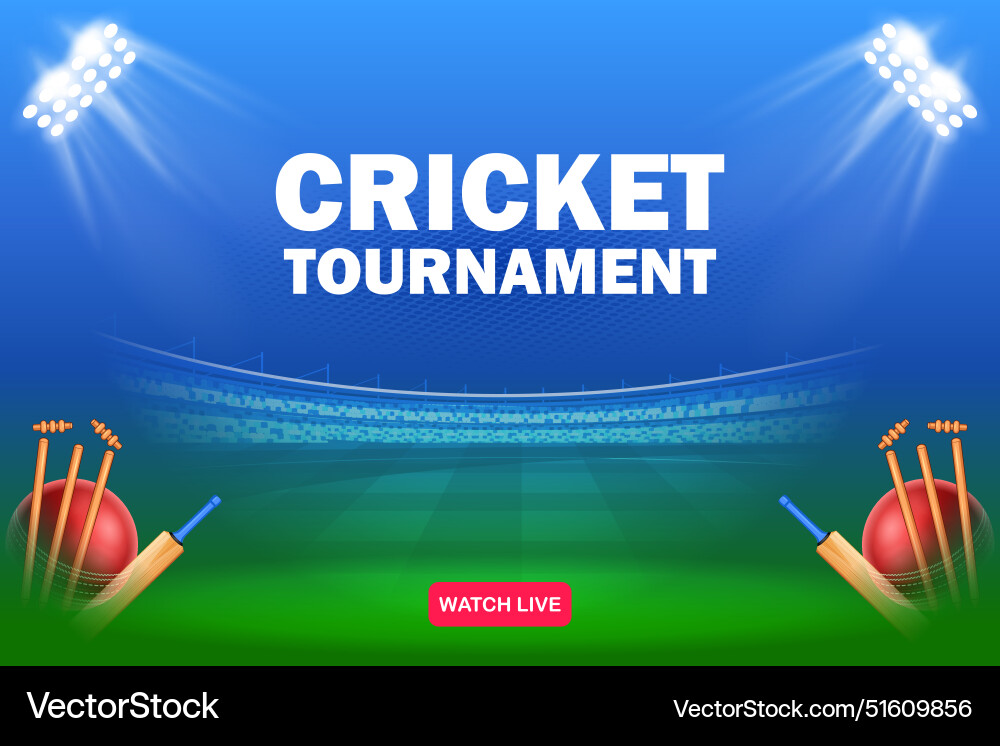 Stadium of cricket showing flags participating Vector Image