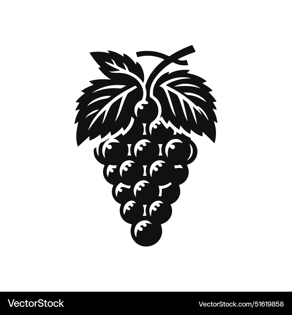 Minimalist grape in elegant silhouette Royalty Free Vector