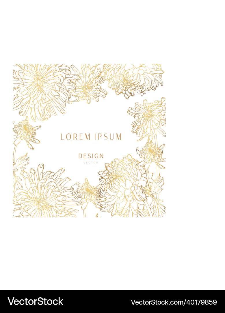 Golden greeting invitation card template design Vector Image