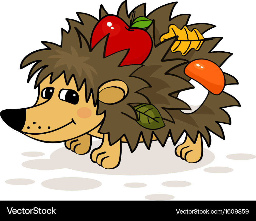 Hedgehog Royalty Free Vector Image - VectorStock
