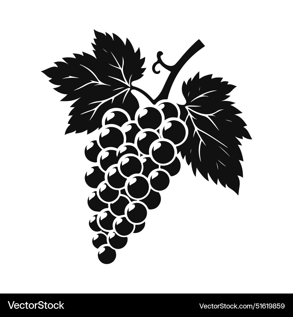 Simple black and white grape design Royalty Free Vector