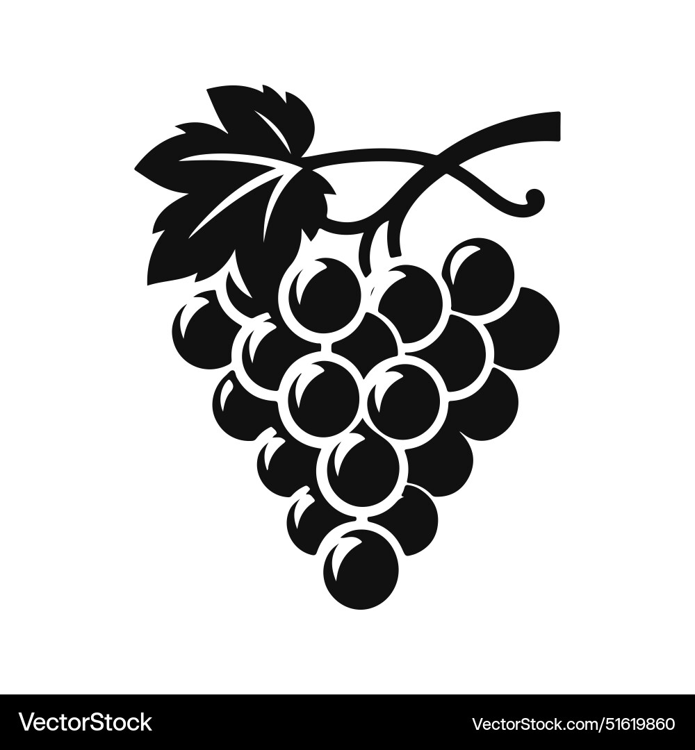 Monochrome silhouette grape for minimalist design Vector Image