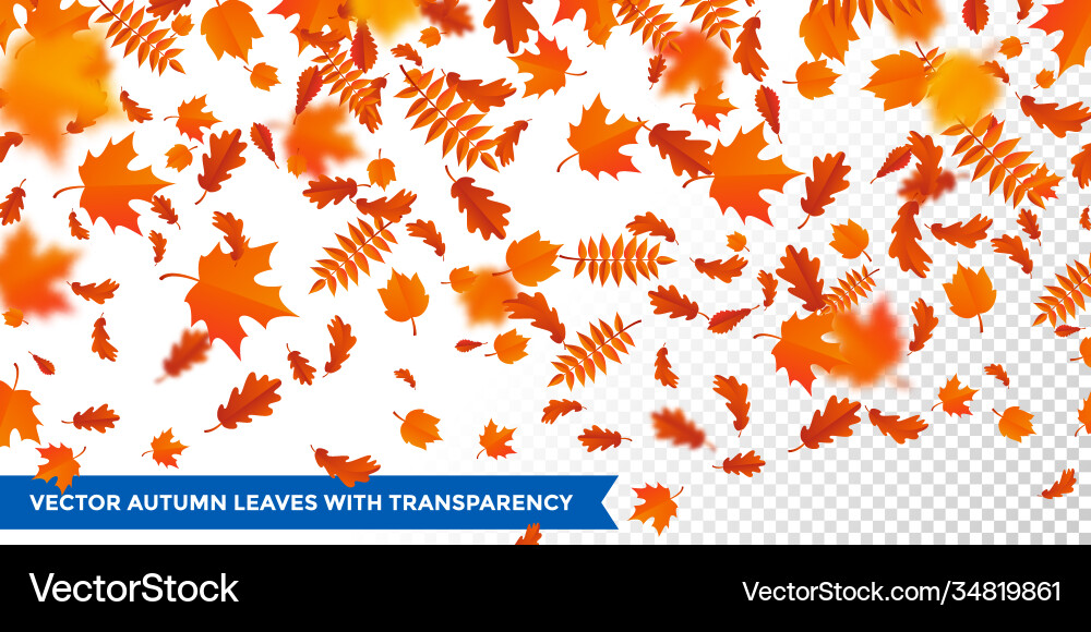 Autumn falling leaves pattern transparent Vector Image