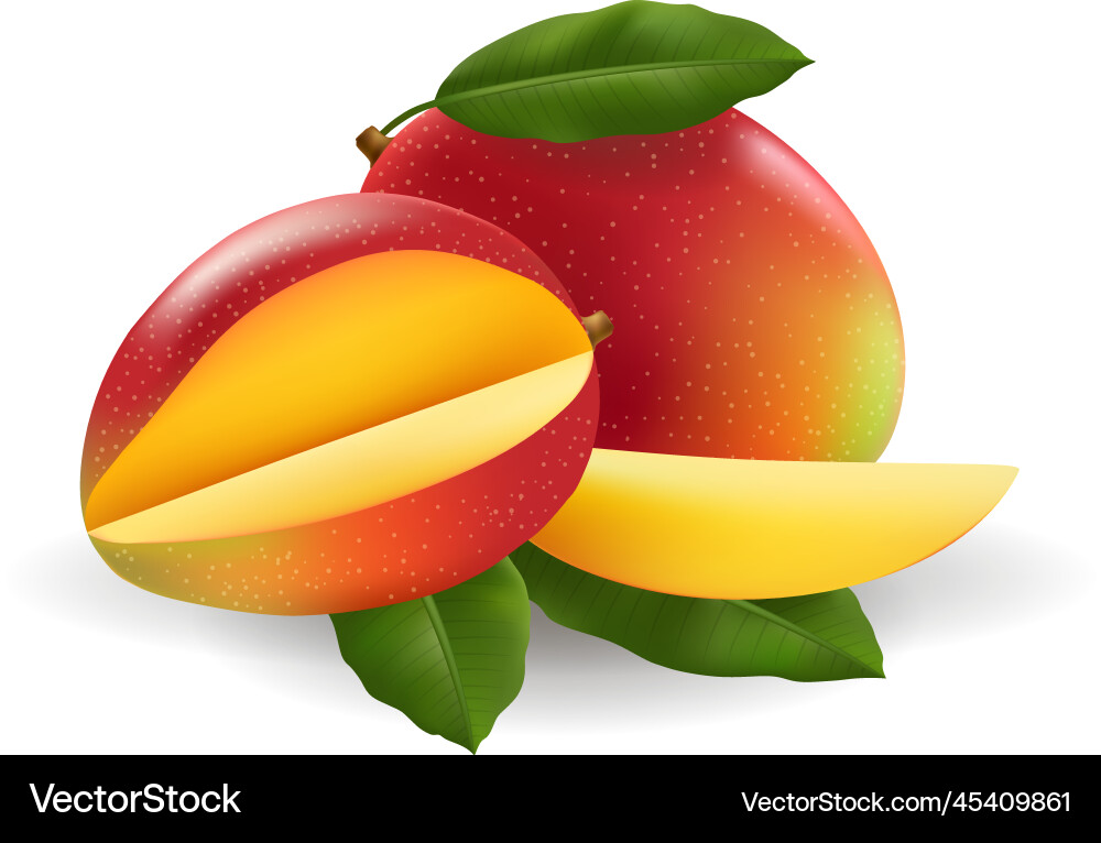 Realistic cutting mangoes Royalty Free Vector Image