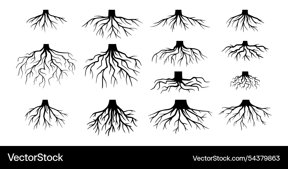 Various realistic tree roots shrub roots parts Vector Image