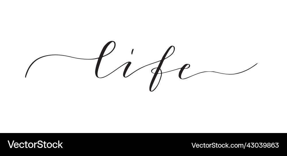 Word life written in cute modern calligraphy Vector Image