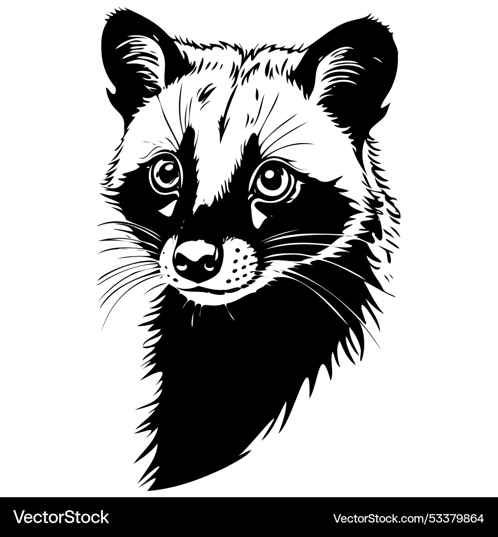 Banded palm civet portrait engraving drawing Vector Image