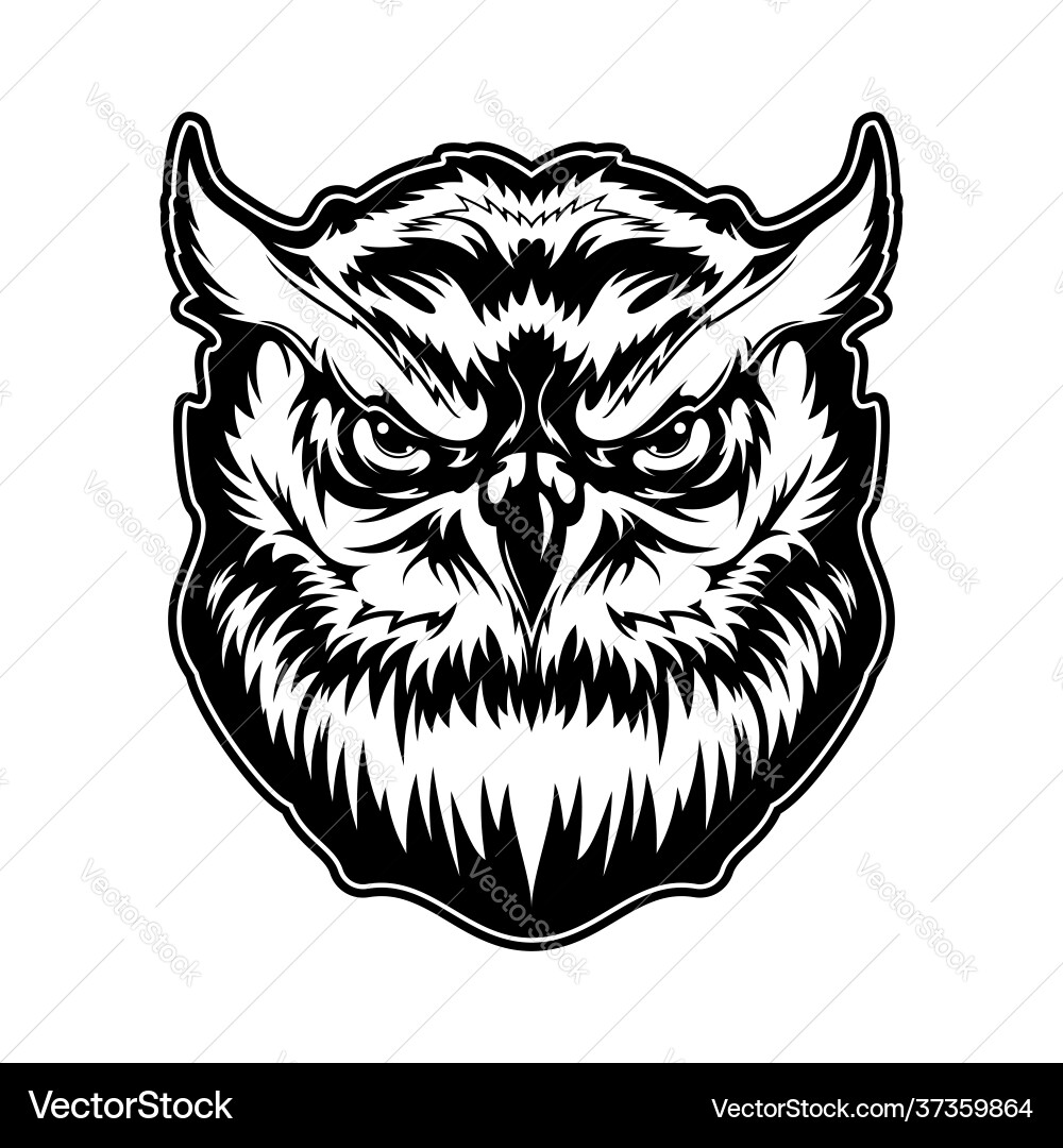 Owl animal head with angry face mascot Royalty Free Vector