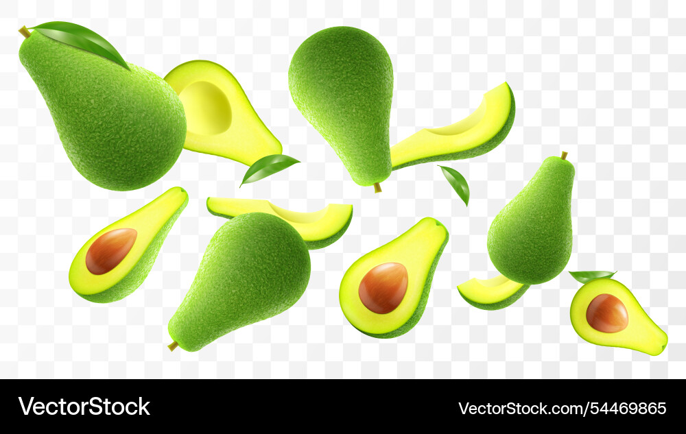 Flying ripe fresh avocado bright advertising Vector Image