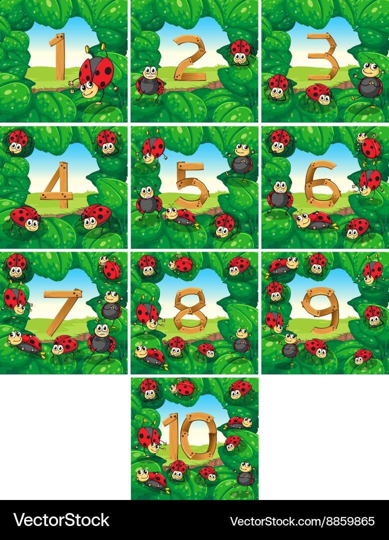 Number one to ten with ladybugs background Vector Image