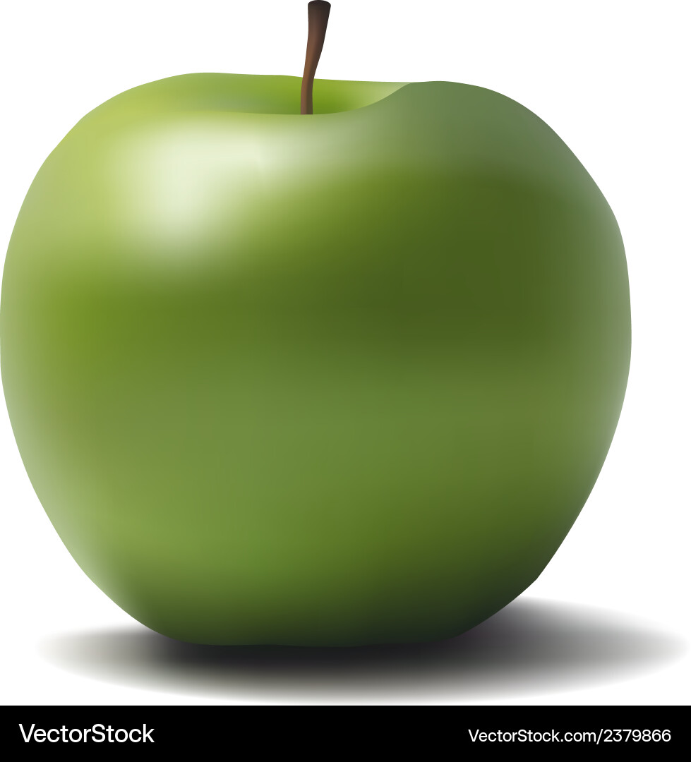 Apple Royalty Free Vector Image - VectorStock