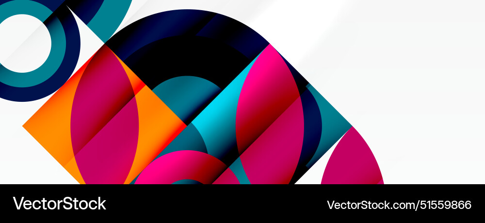 Circles and petals geometric beautiful abstract Vector Image