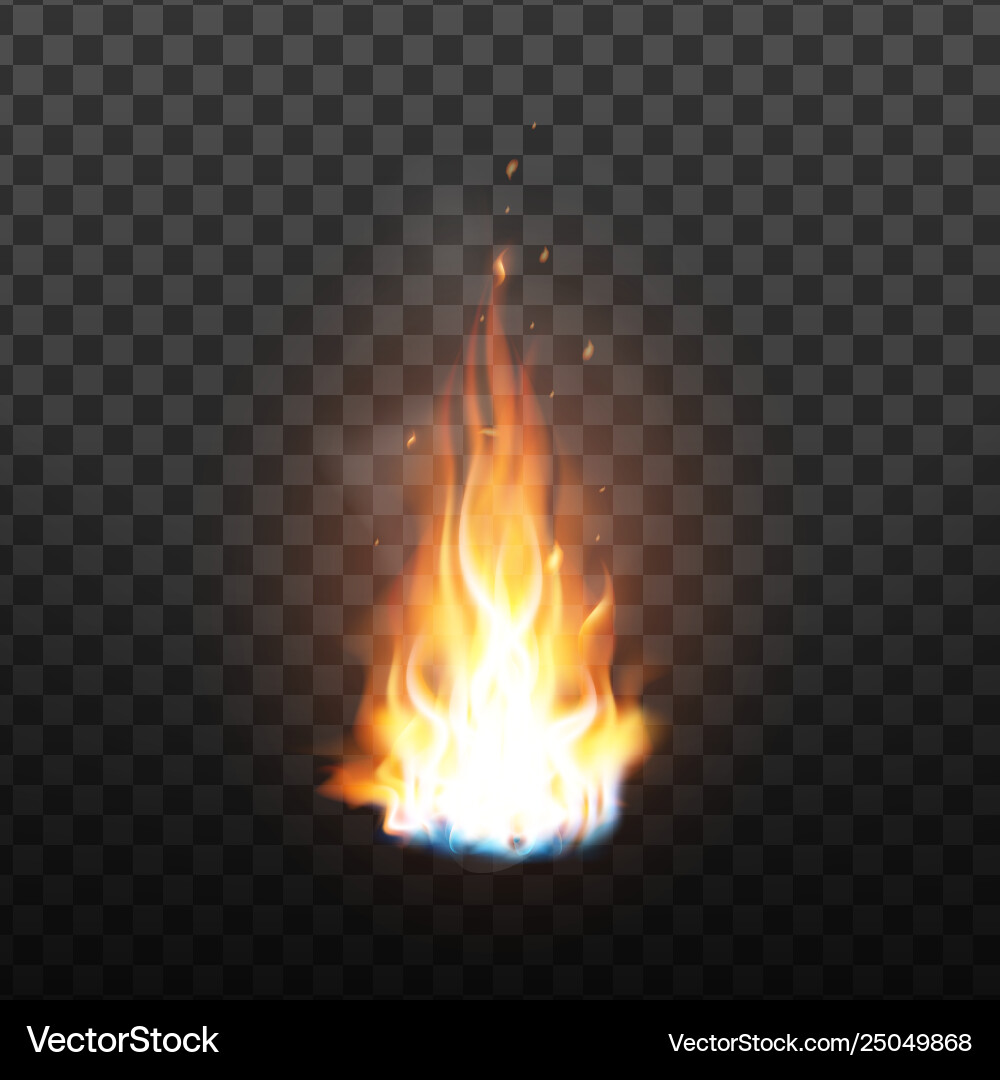 Animation burning fire with sparks effect Vector Image