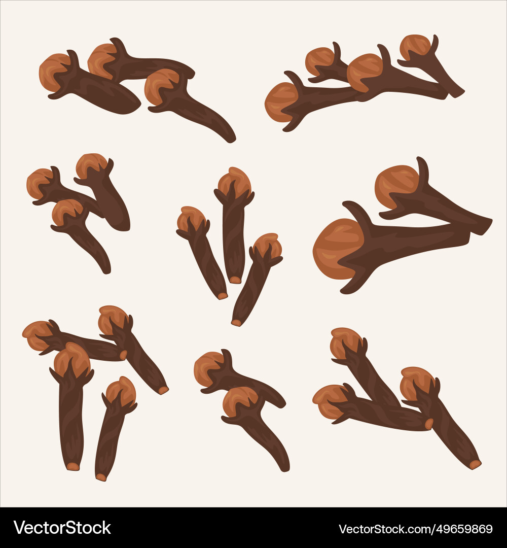 Set of cloves collection Royalty Free Vector Image