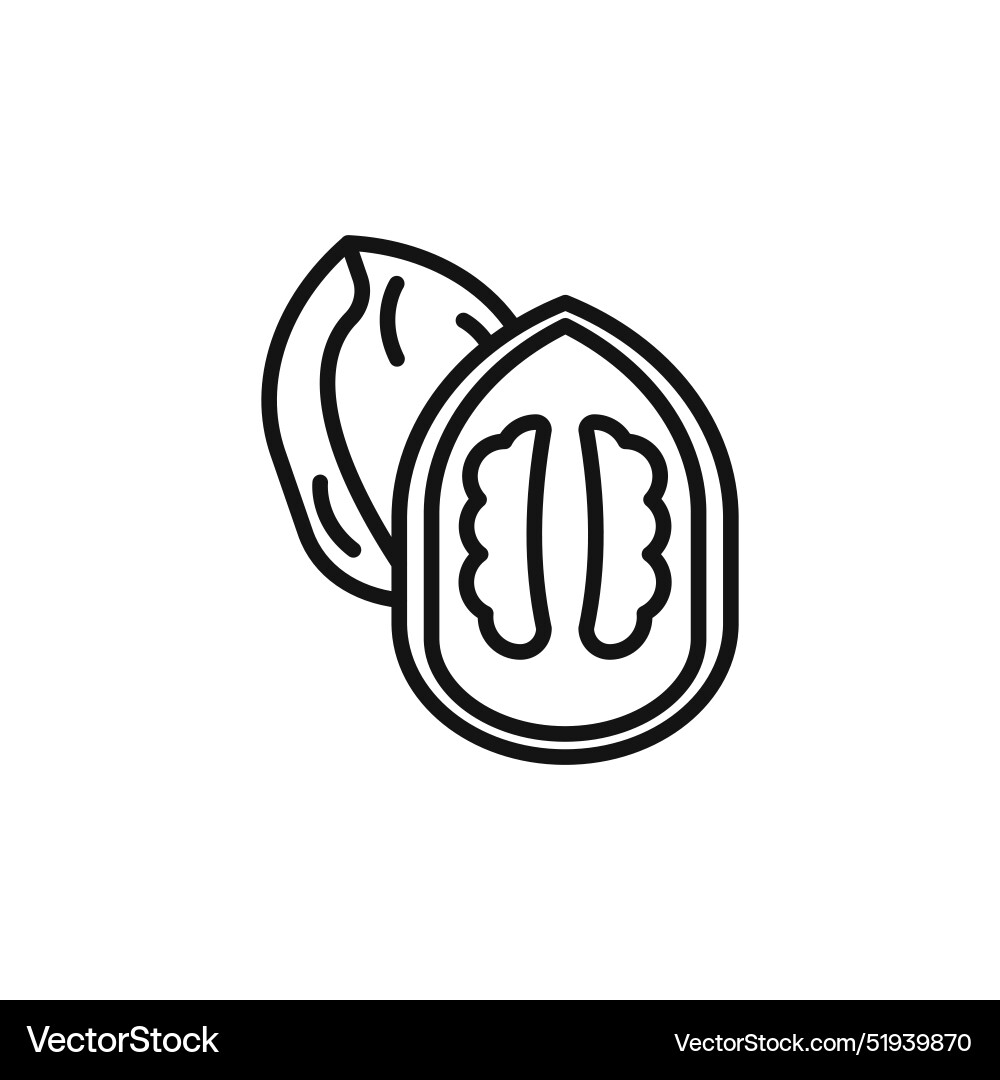 Walnut icon logo sign outline Royalty Free Vector Image
