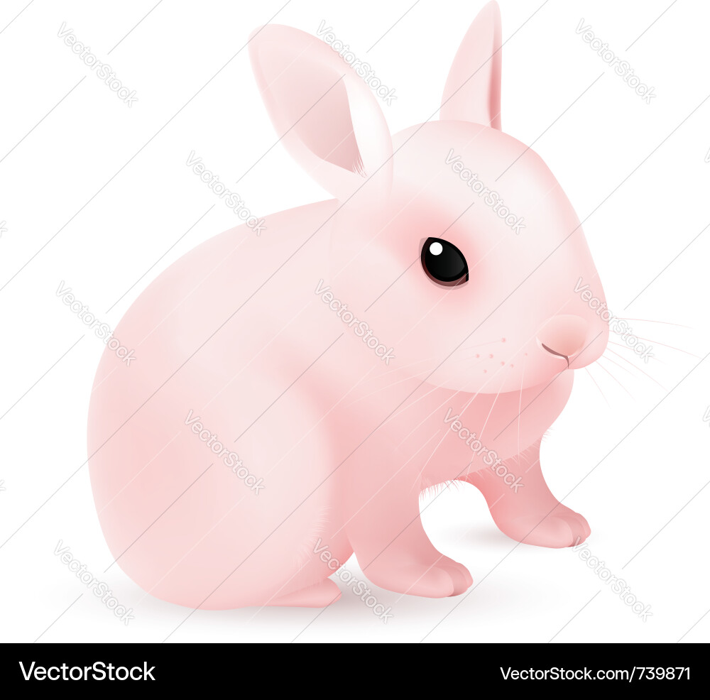Pink easter bunny Royalty Free Vector Image - VectorStock