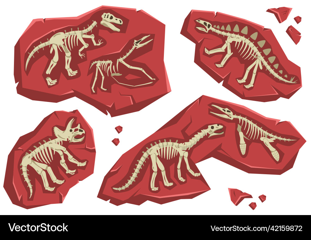 Dinosaur skeleton set Royalty Free Vector Image