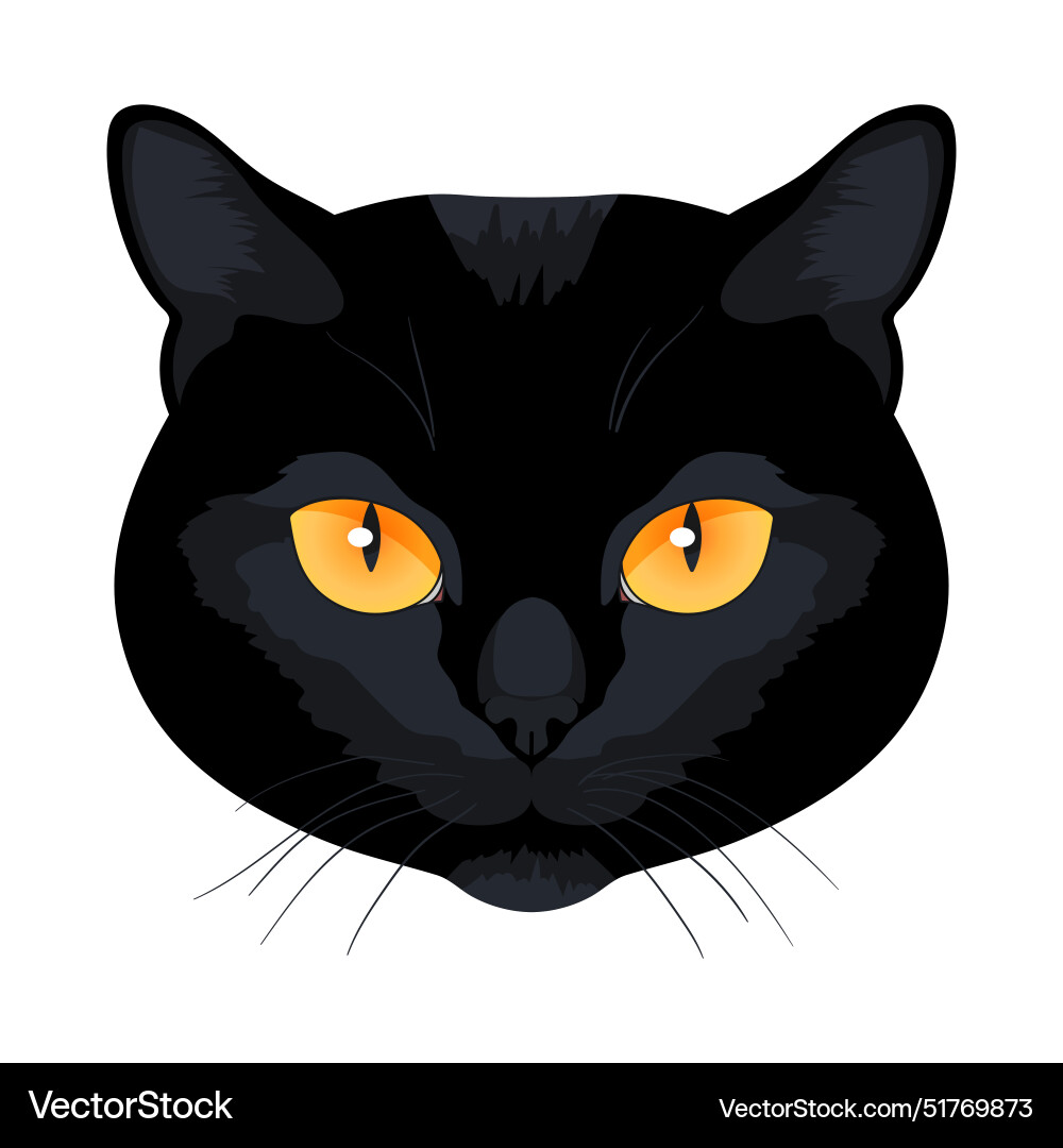 Cat head isolated on white background feline Vector Image