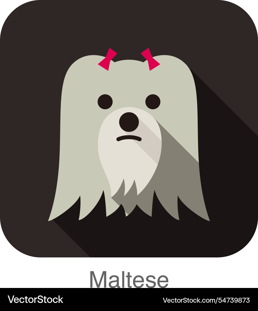 Maltese dog face flat icon Royalty Free Vector Image