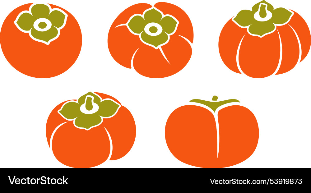 Persimmon Royalty Free Vector Image - VectorStock
