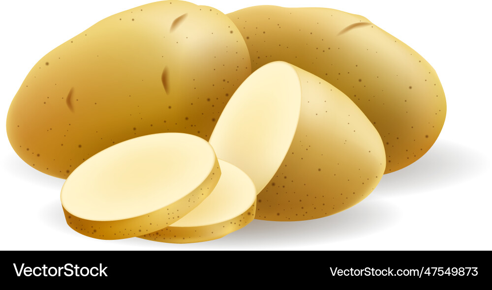 Raw potato closeup Royalty Free Vector Image - VectorStock