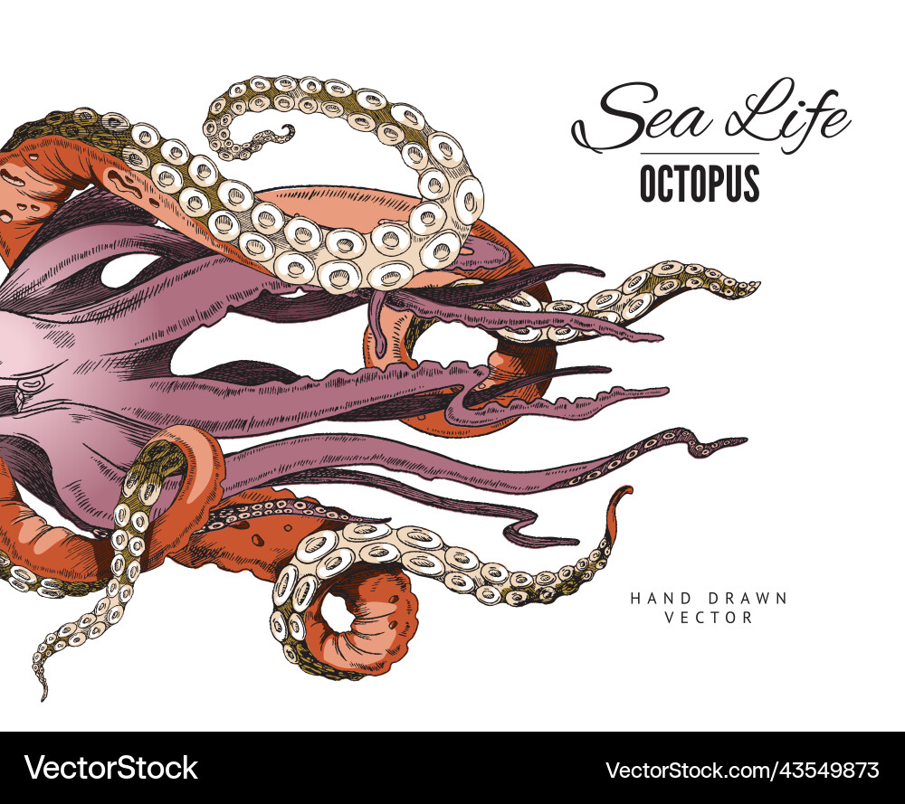 Meeresfrüchte Oktopus Banner oder Menükarten Design Hand