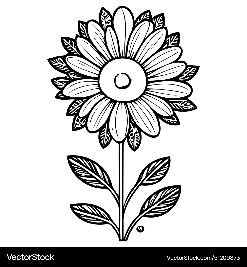Sunflower sketch hand draw Royalty Free Vector Image