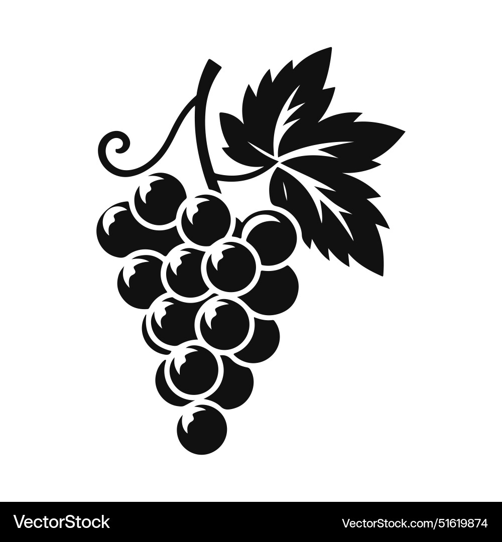 Black and white elegant grape design Royalty Free Vector