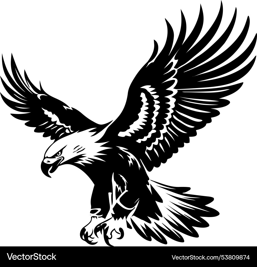 Flying eagle Vector Images & Graphics for Commercial Use | VectorStock