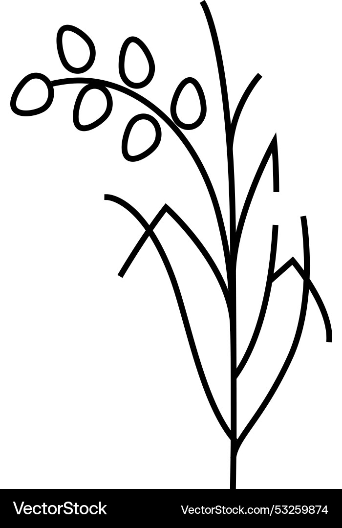 Rice plant healthy line icon Royalty Free Vector Image