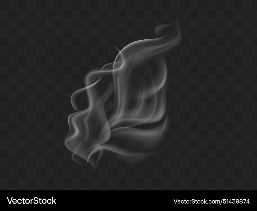 Smoke collection white isolated cigarette Vector Image