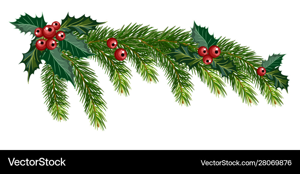Christmas tree branch Royalty Free Vector Image