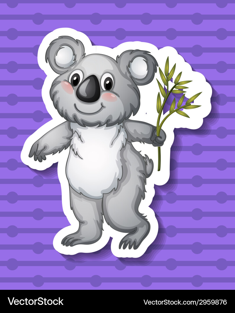 Koala Royalty Free Vector Image - VectorStock
