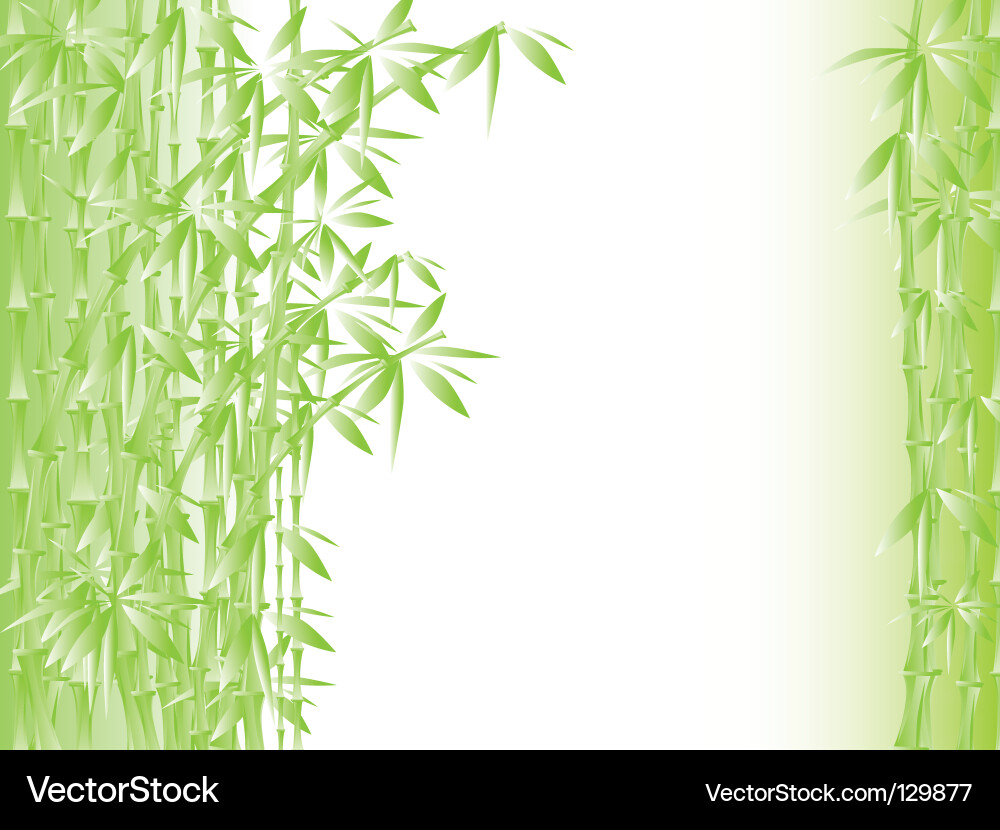 Bamboo Royalty Free Vector Image - VectorStock